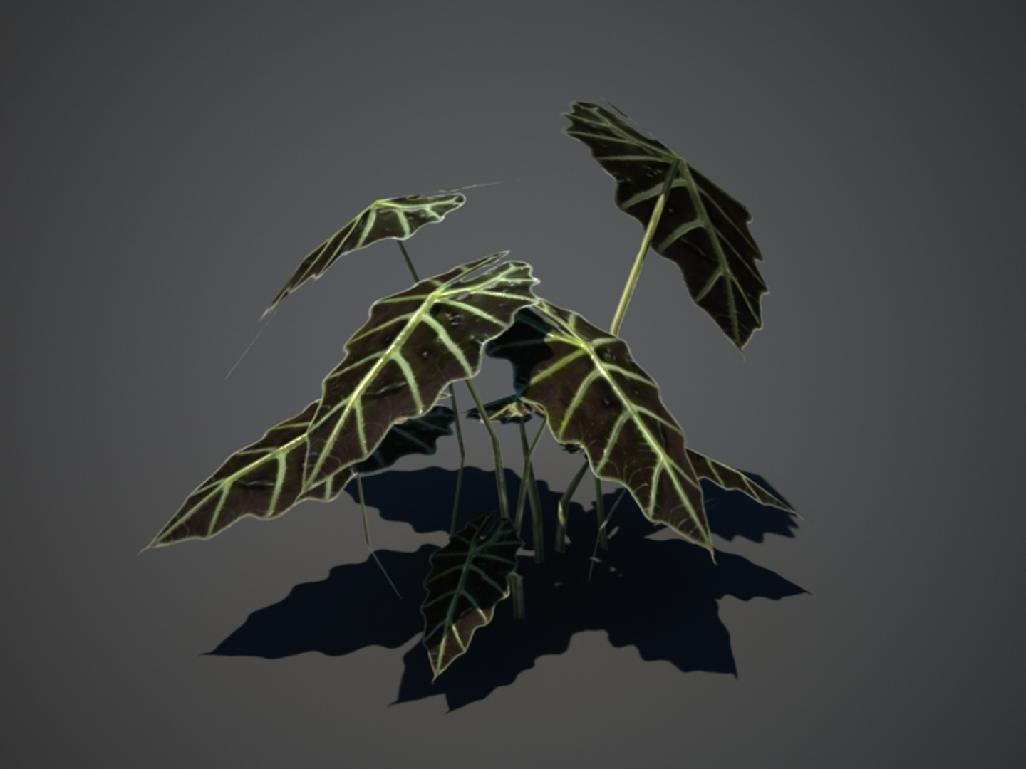 tropical plant 3d obj