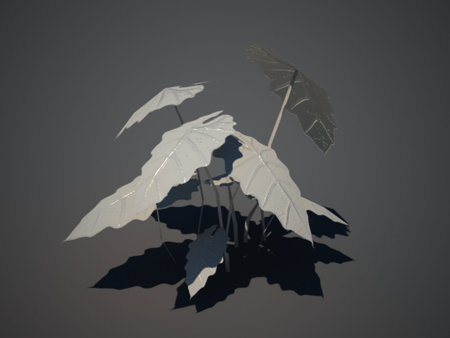 tropical plant 3d obj