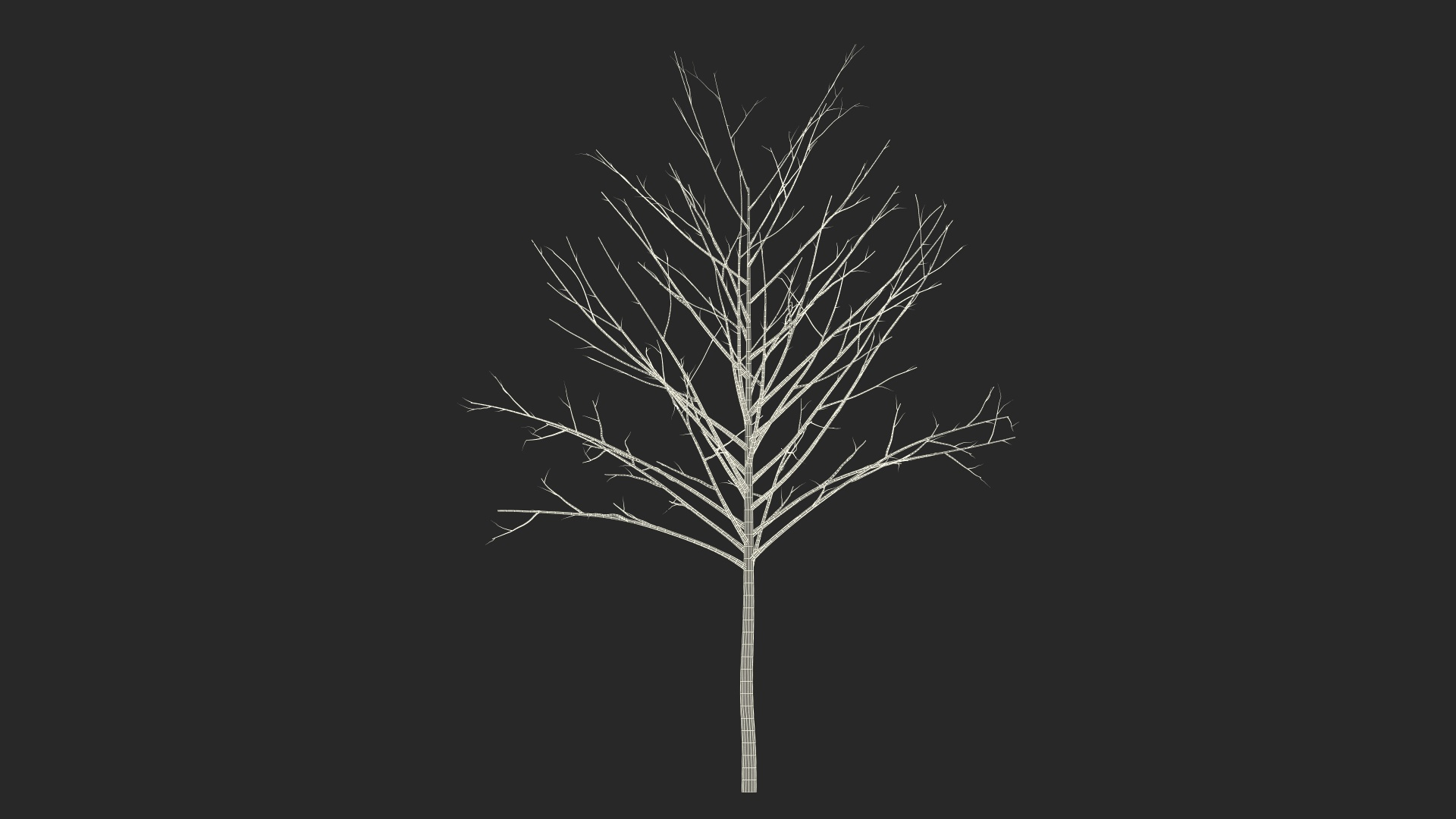 3D Bare Winter Tree Model - TurboSquid 2203533