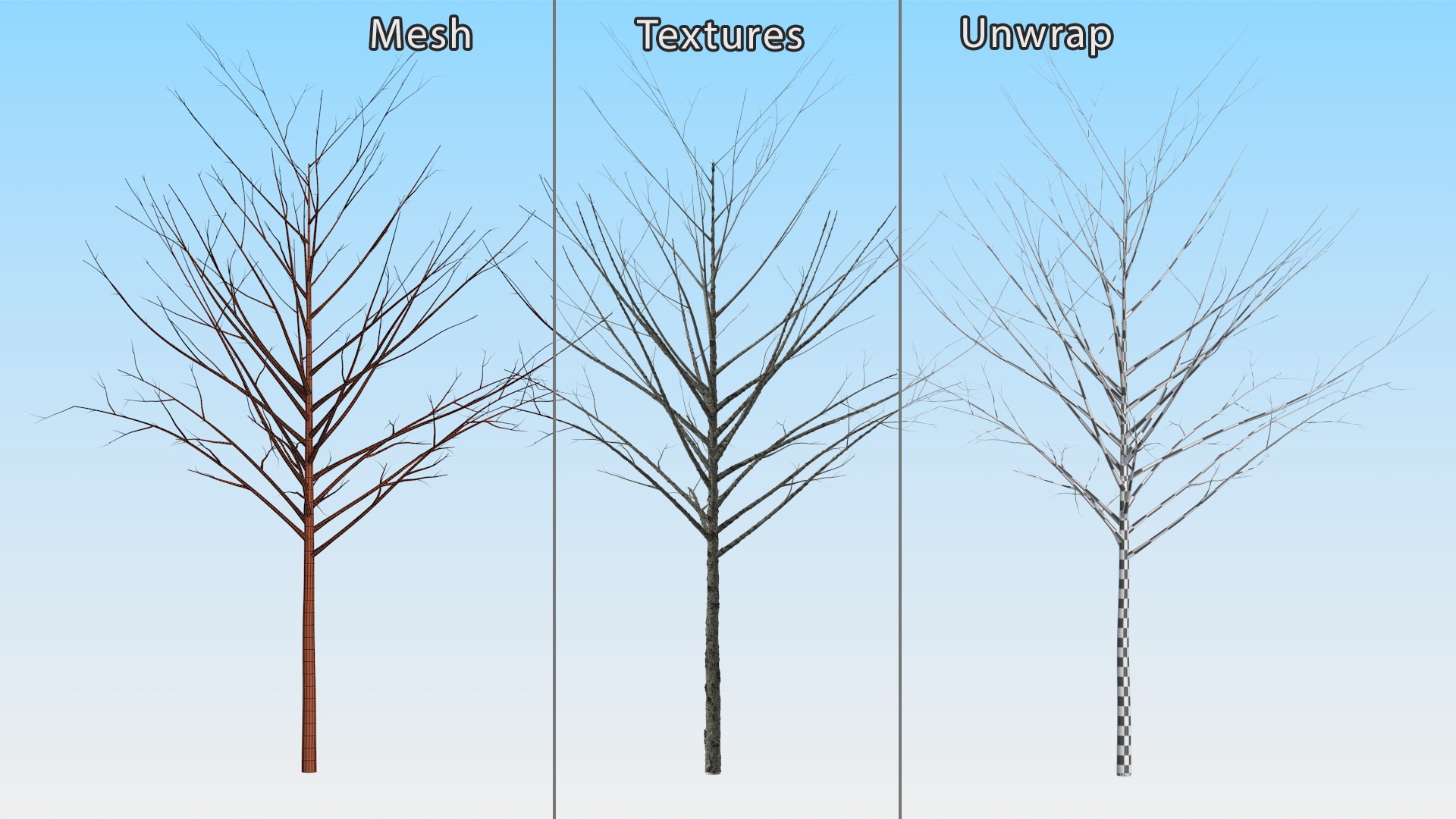 3D Bare Winter Tree Model - TurboSquid 2203533
