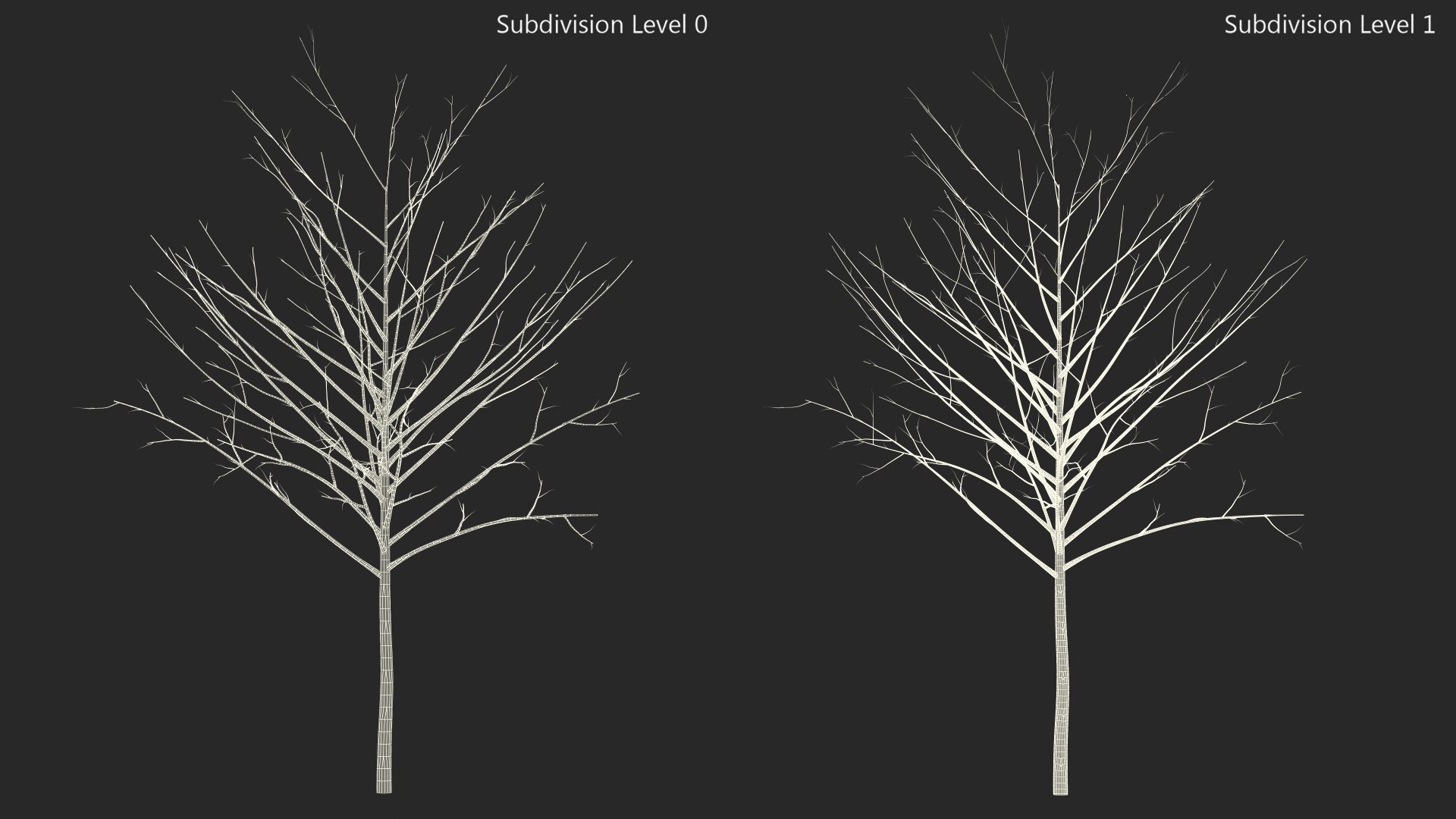 3D Bare Winter Tree Model - TurboSquid 2203533