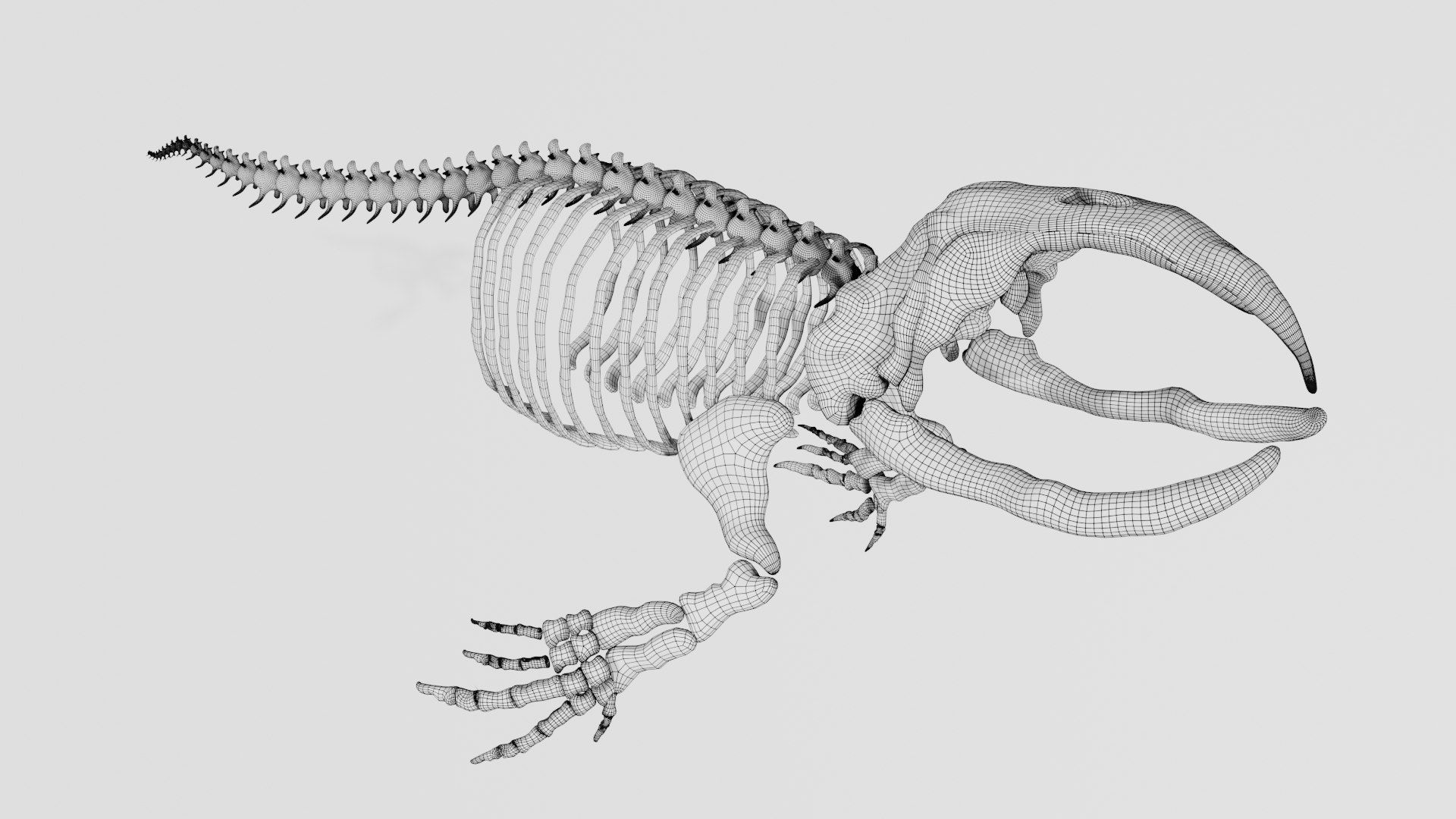 3D Bowhead Whale Skeleton - TurboSquid 1974967