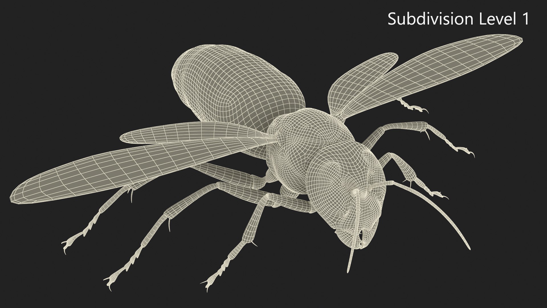 3D Huge Hornet Fur Base Pose Model - TurboSquid 2274489