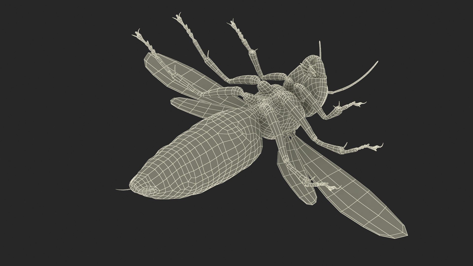 3D Huge Hornet Fur Base Pose Model - TurboSquid 2274489