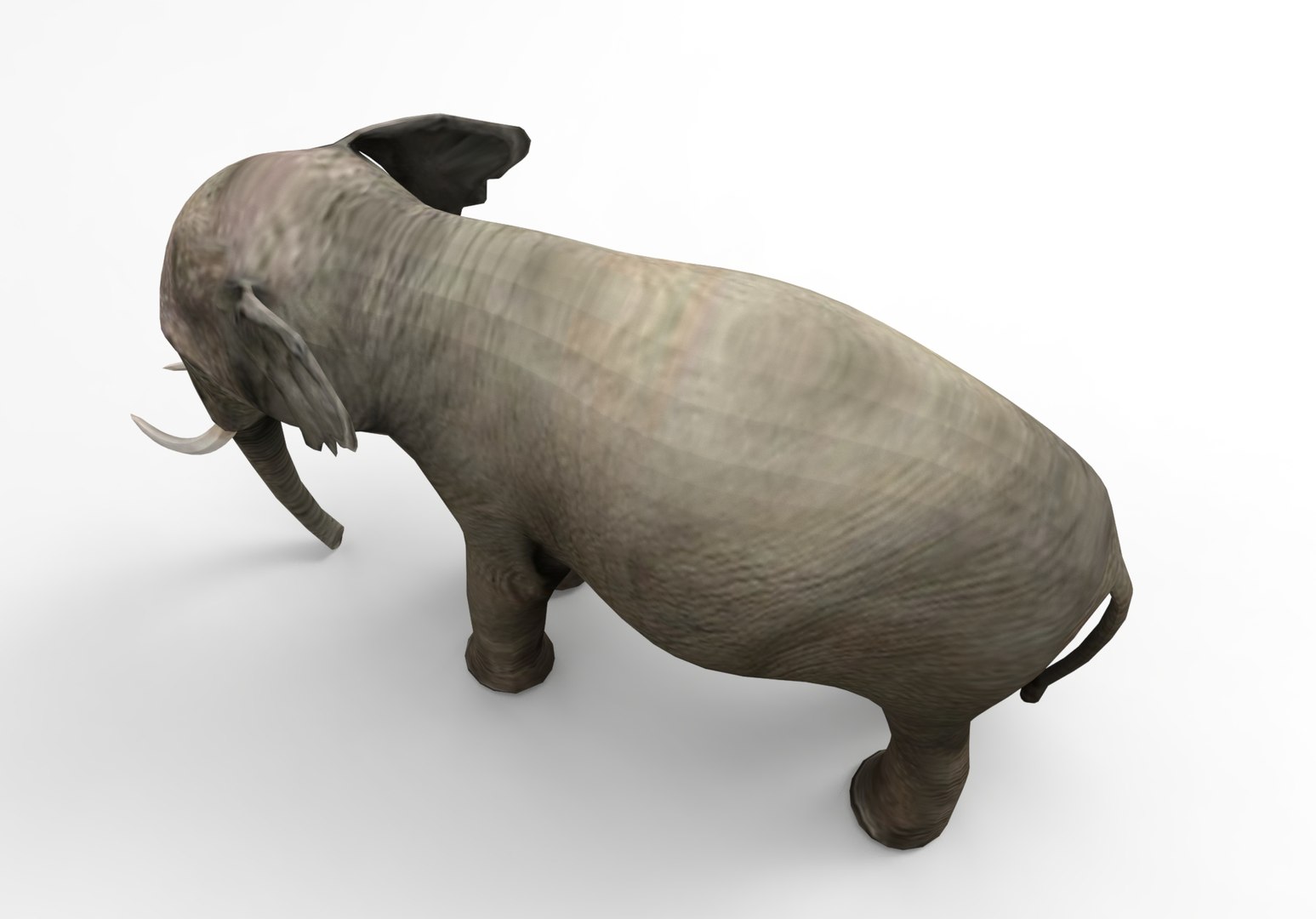 Asia Elephant X