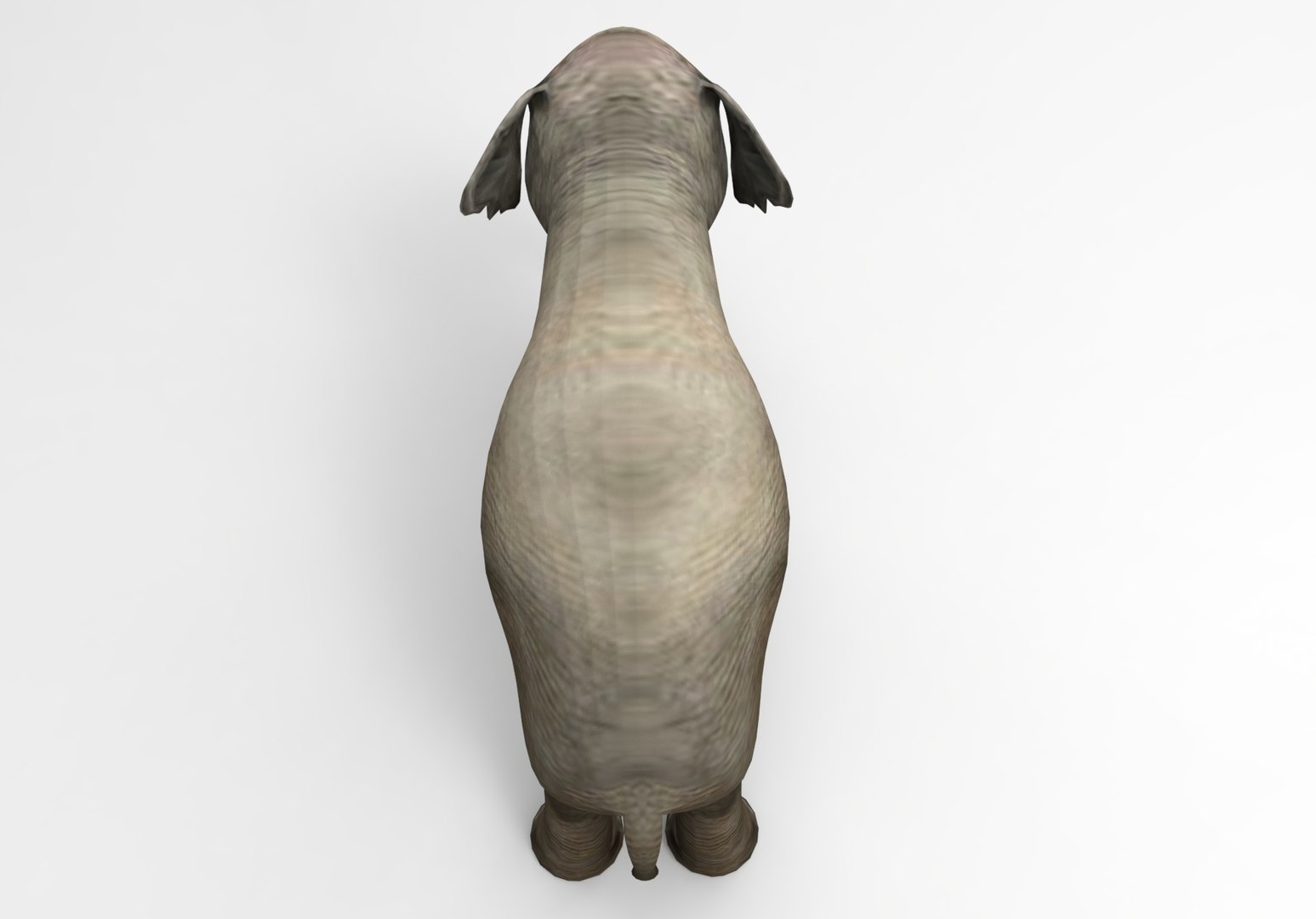 Asia Elephant X