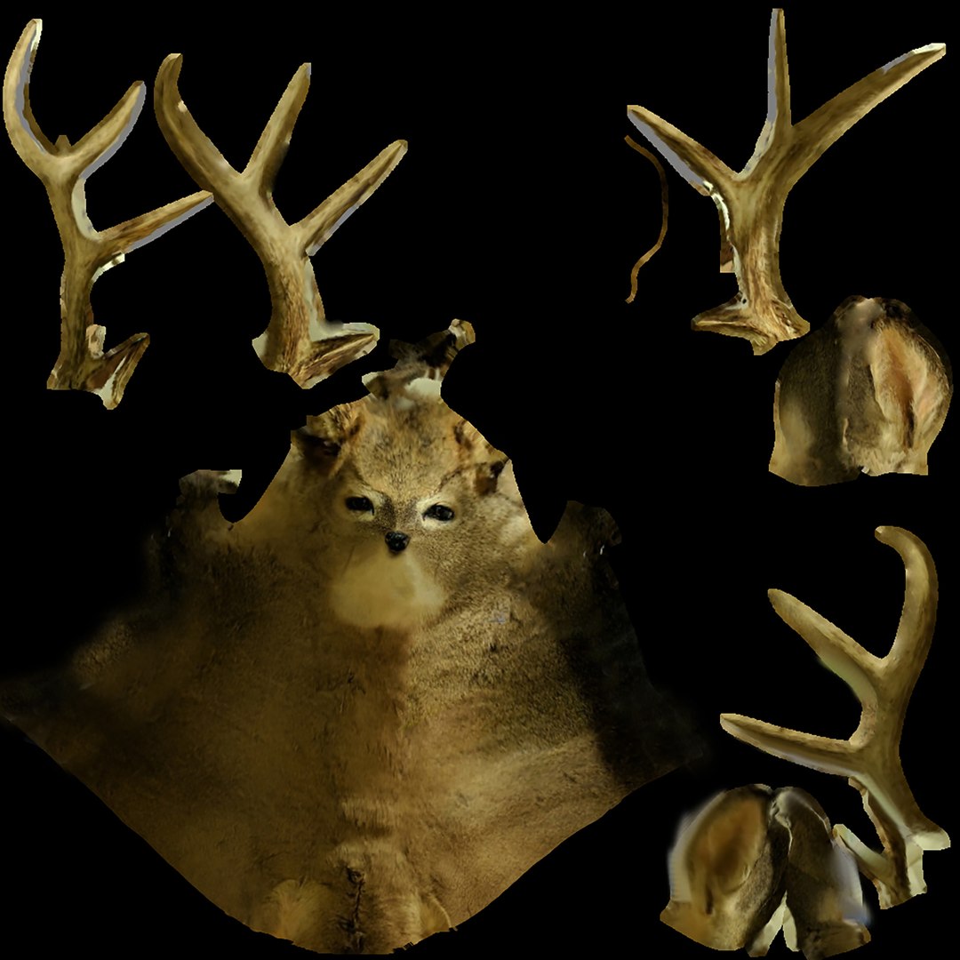 Wall Hanging Buck Deer Bust 3D model - TurboSquid 1860848