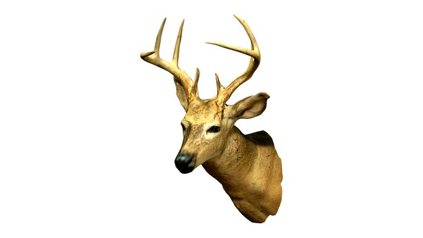 Aggressive Deer Mount Poses | ppgbbe.intranet.biologia.ufrj.br