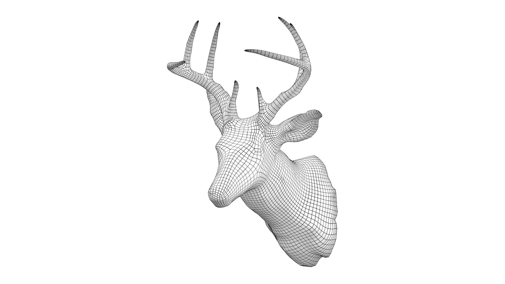 Wall Hanging Buck Deer Bust 3D model - TurboSquid 1860848