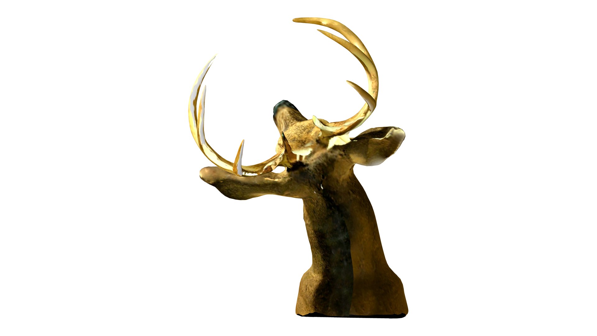 Wall Hanging Buck Deer Bust 3D model - TurboSquid 1860848