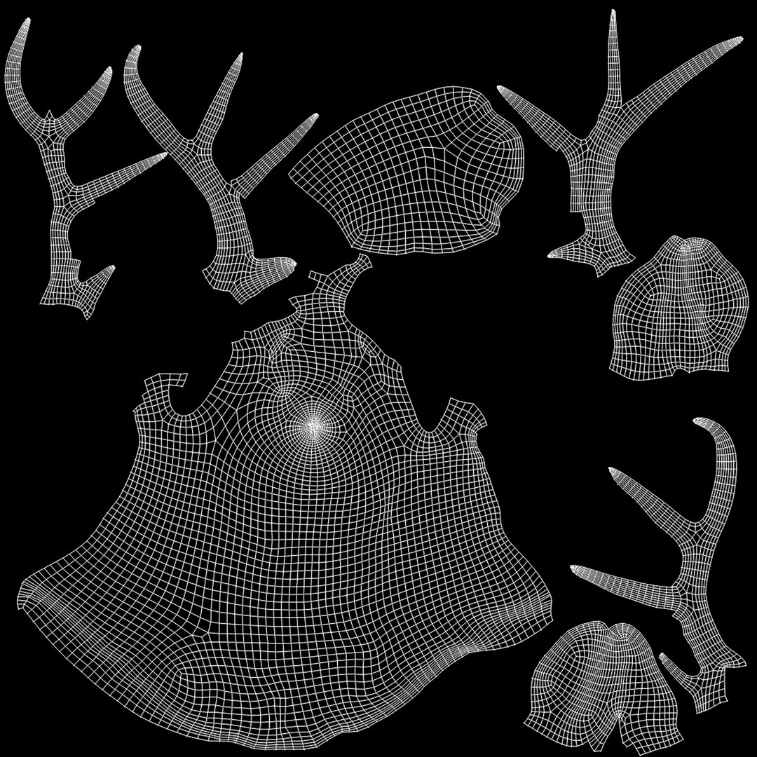 Wall Hanging Buck Deer Bust 3D model - TurboSquid 1860848