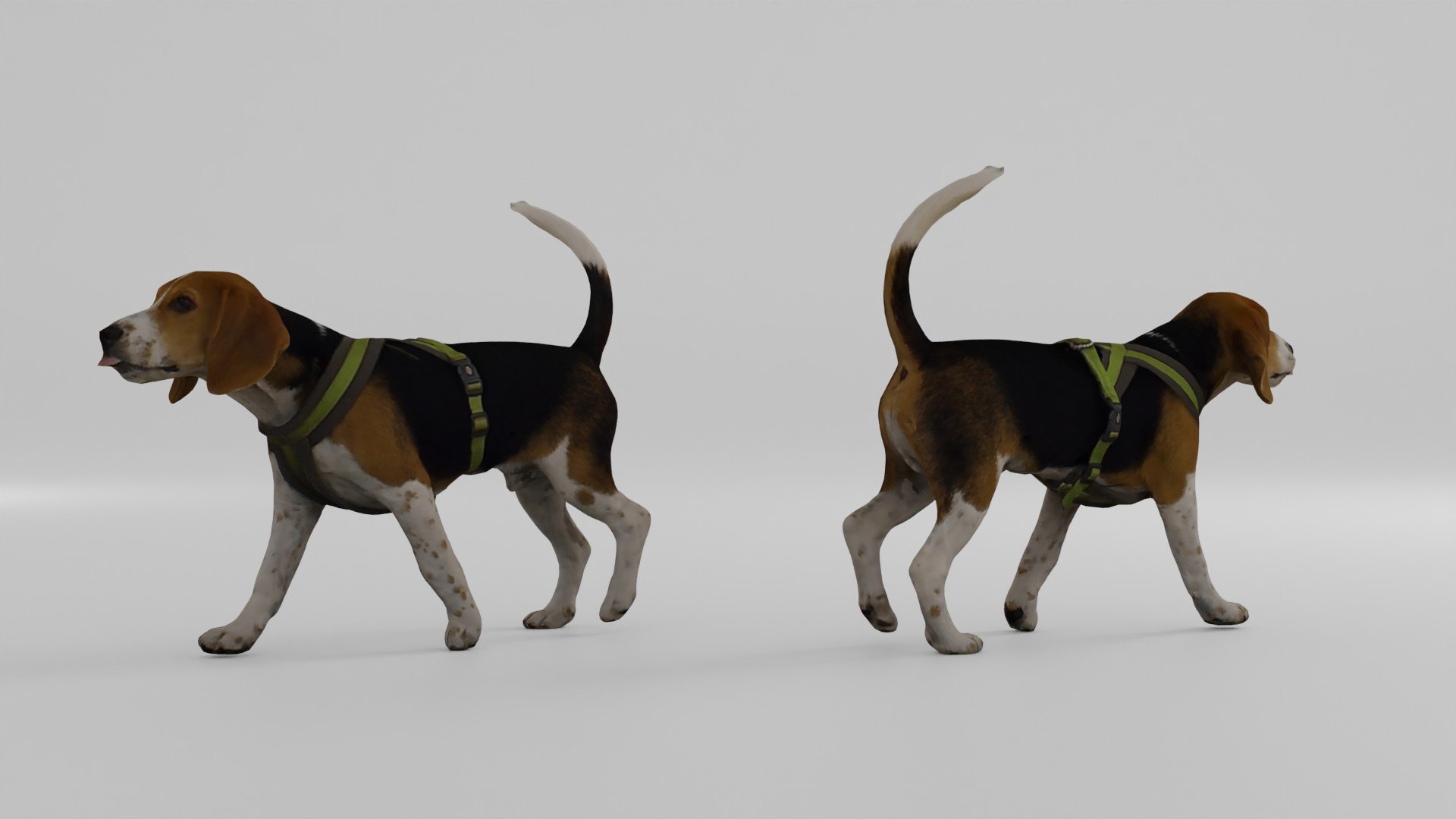 Dog Walking Casual 1 3D - TurboSquid 2114641