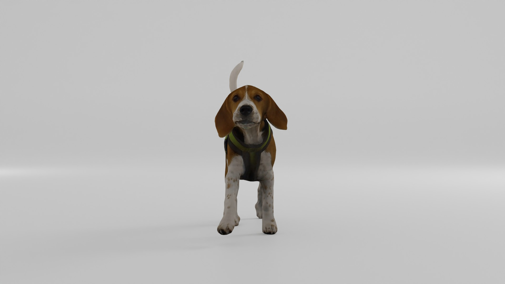 Dog Walking Casual 1 3D - TurboSquid 2114641