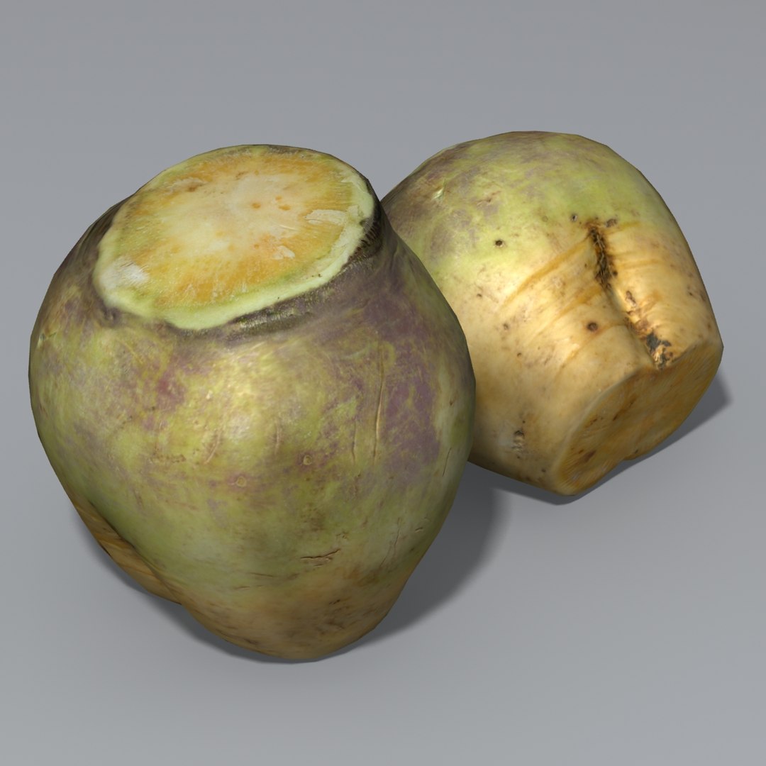 swede vegetable 3d model