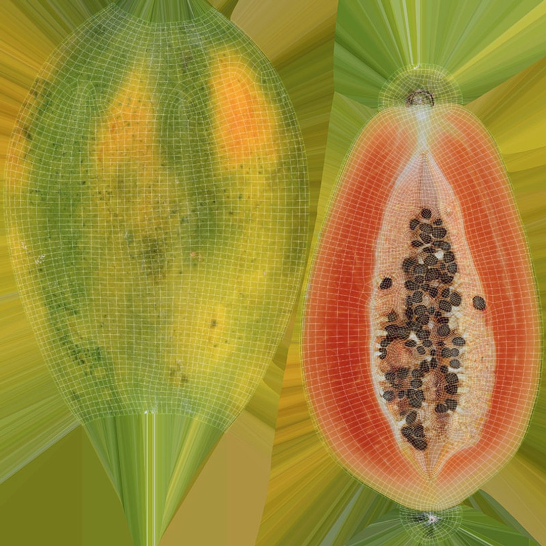 3D Model Papaya Half 01 - TurboSquid 2134845