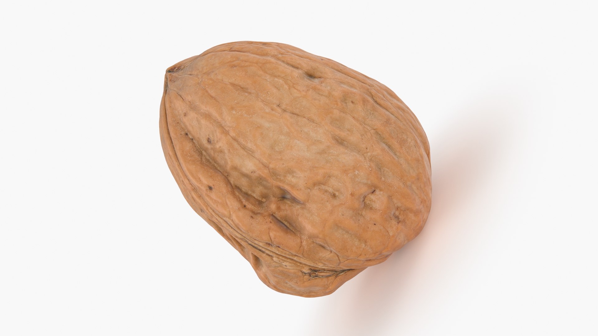 Walnut Shell 01 3D - TurboSquid 1967276