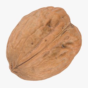 3D Walnut Models - Browse & Download Formats - TurboSquid