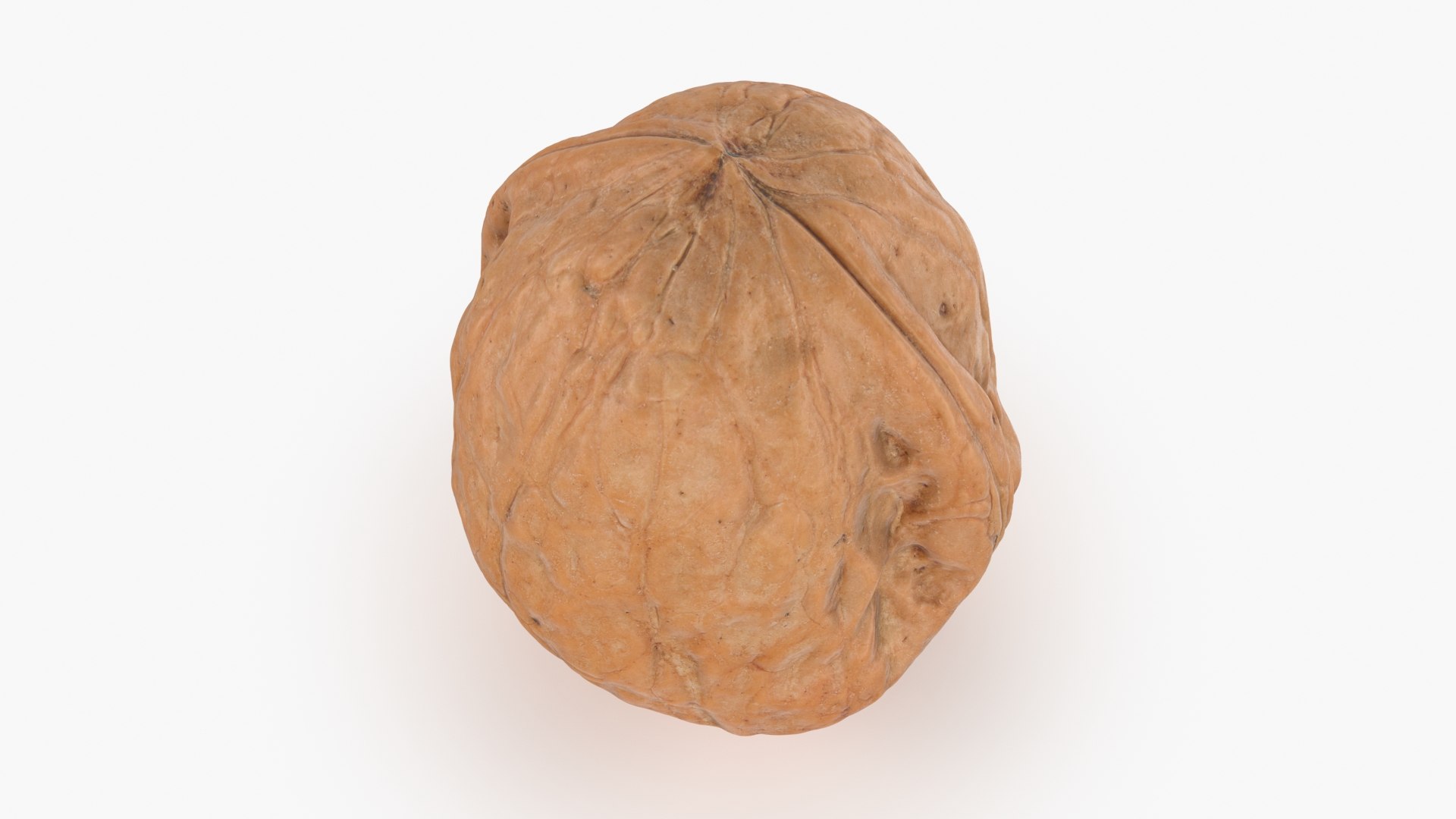 Walnut Shell 01 3D - TurboSquid 1967276