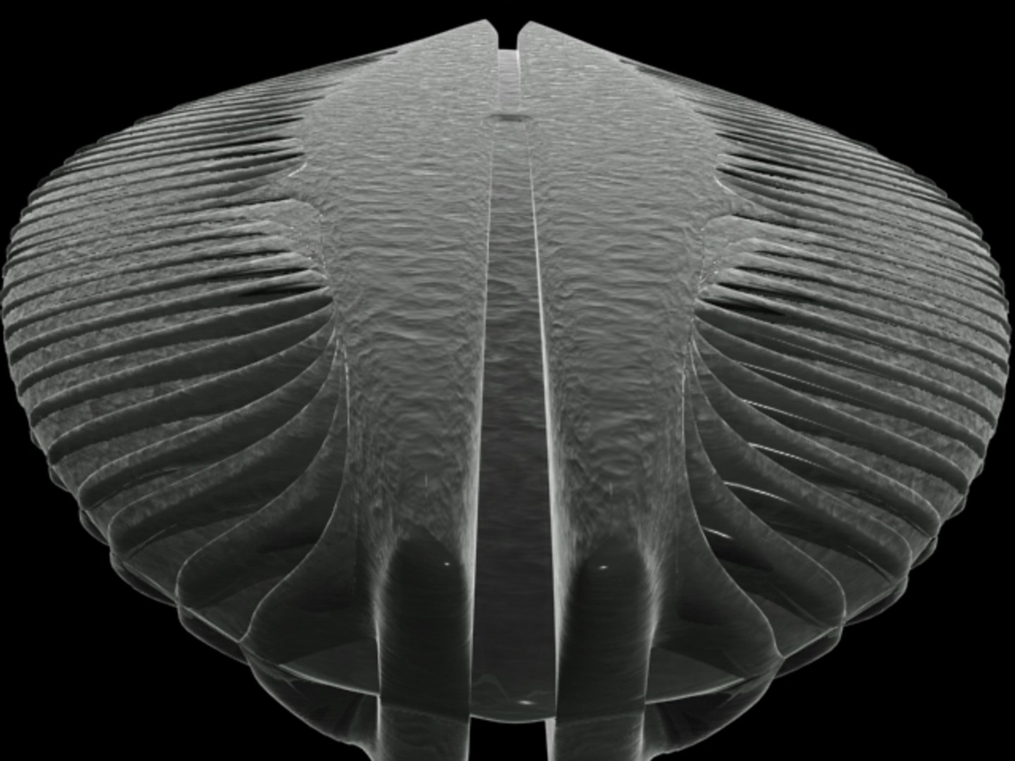 Max Diatom