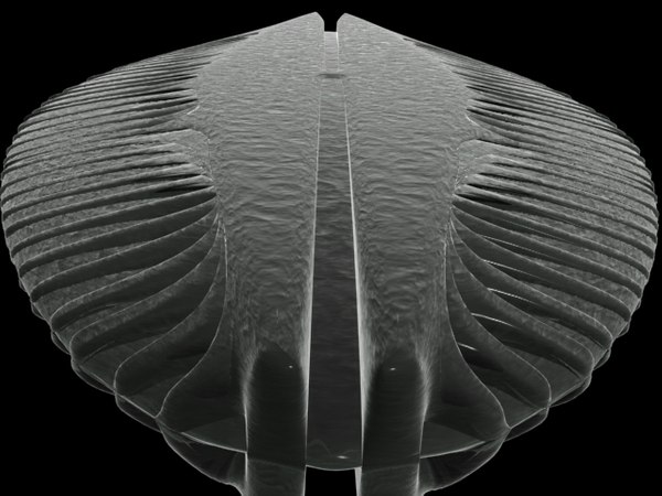 Diatom 3D Models for Download | TurboSquid