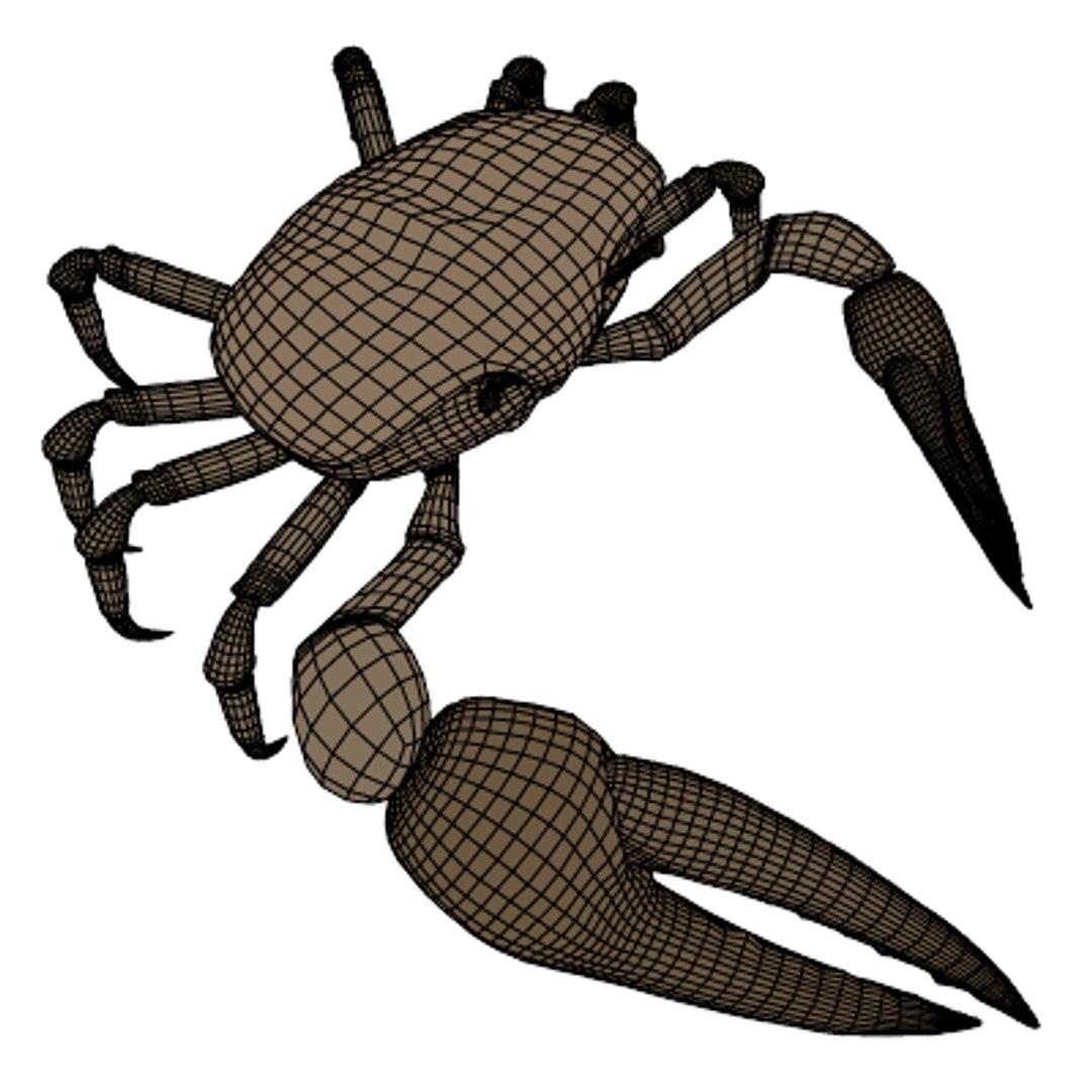 Fiddler Crab Rigged 3d Model