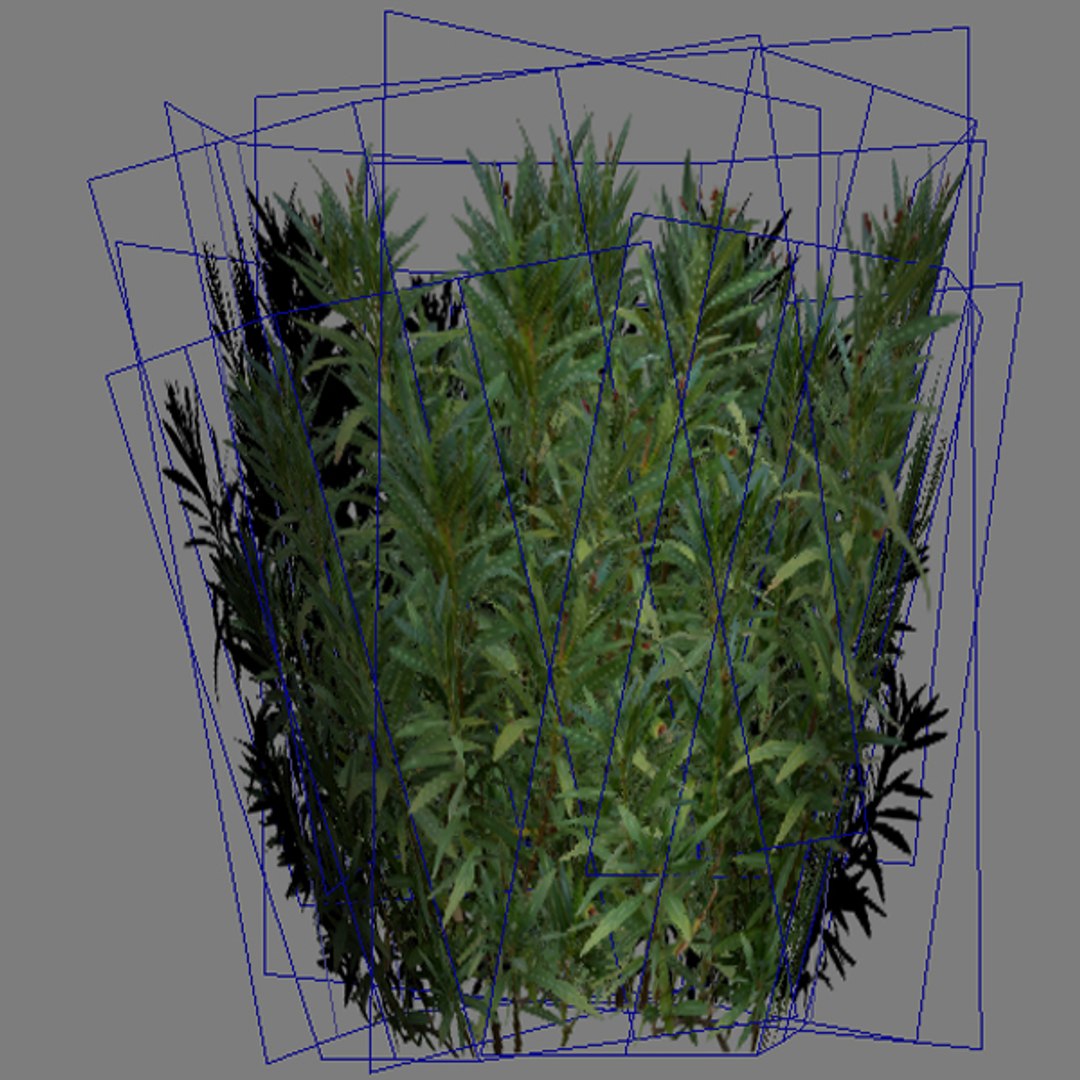 3d bush nature environment