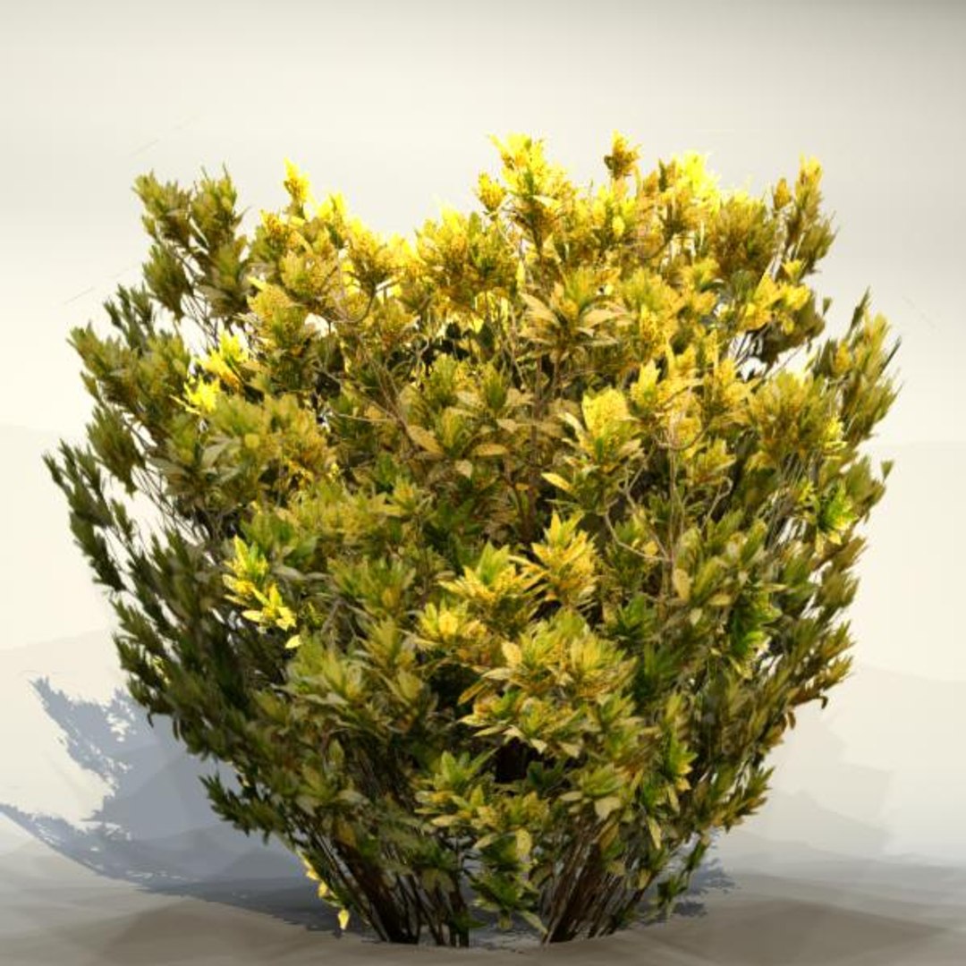 3d bush nature environment