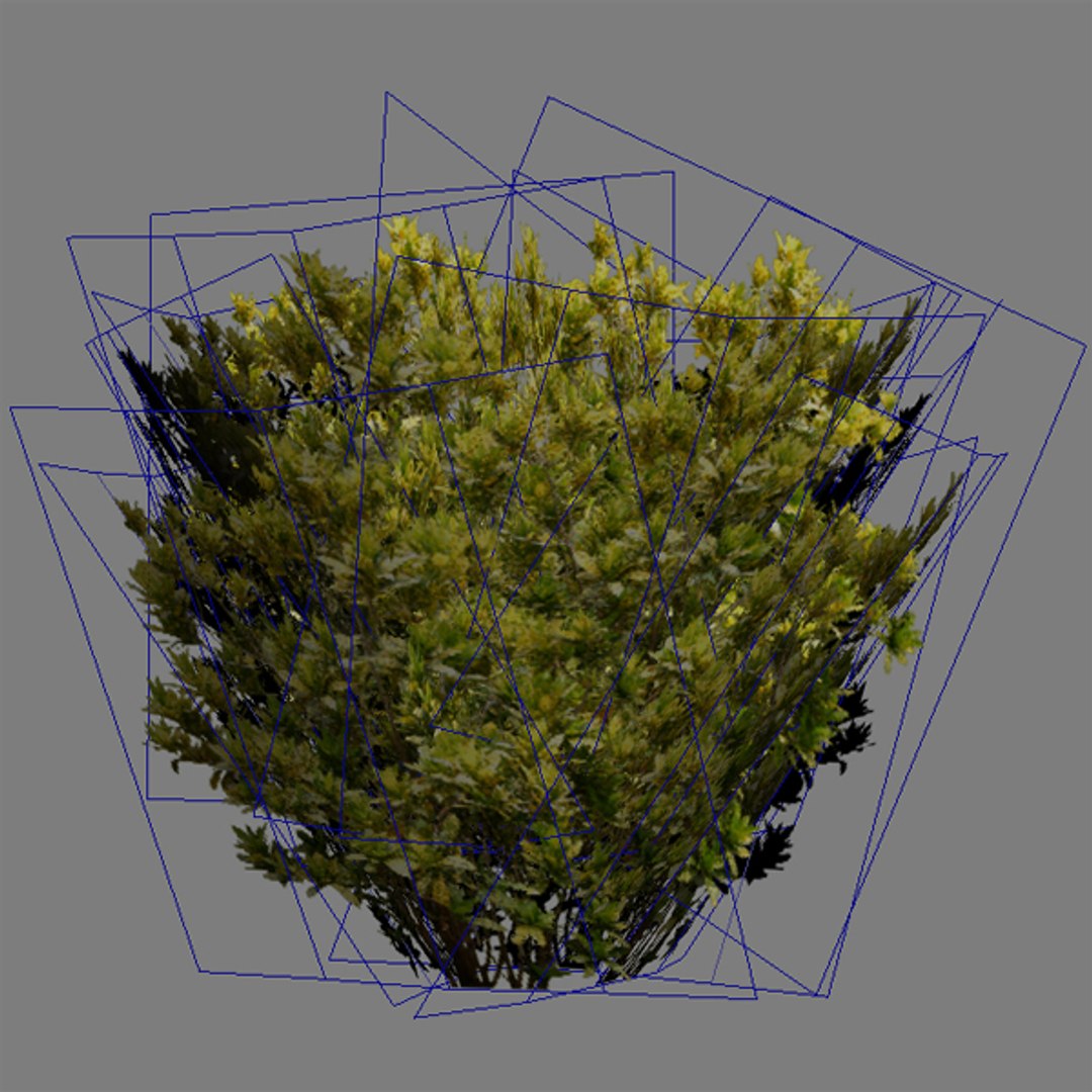 3d bush nature environment