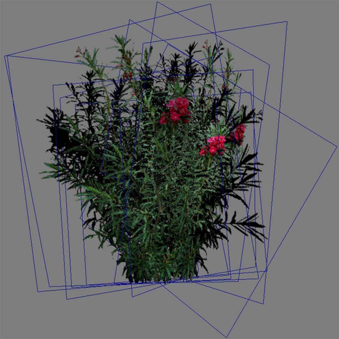 3d bush nature environment