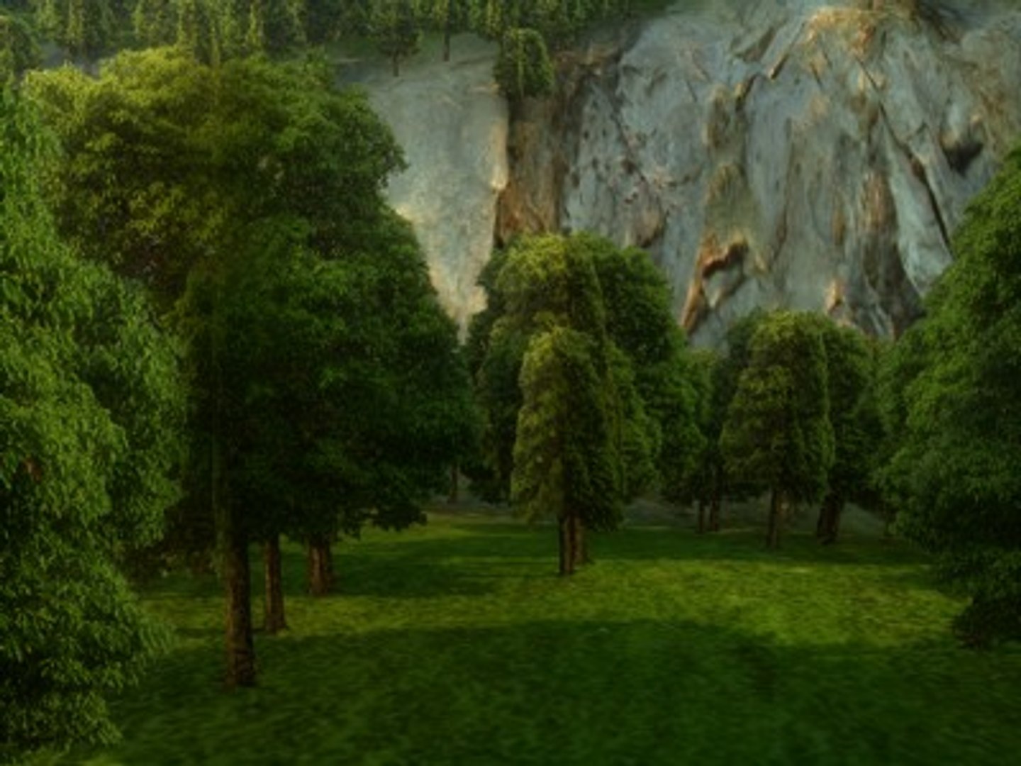 C4d Landscape Forest