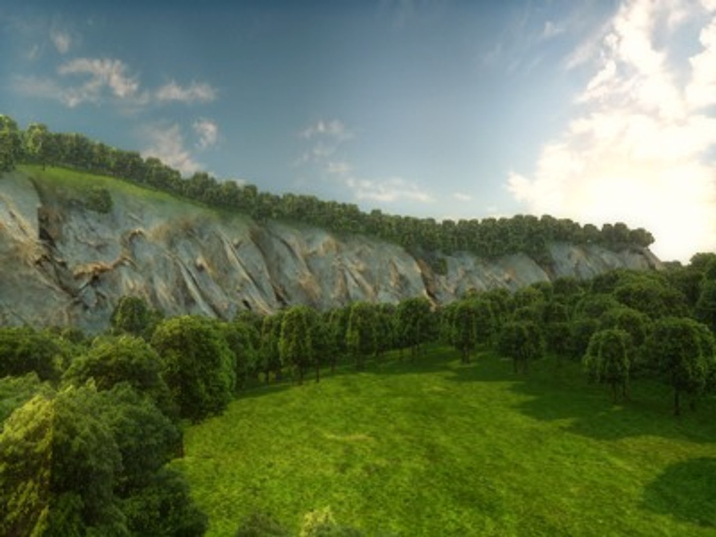 C4d Landscape Forest