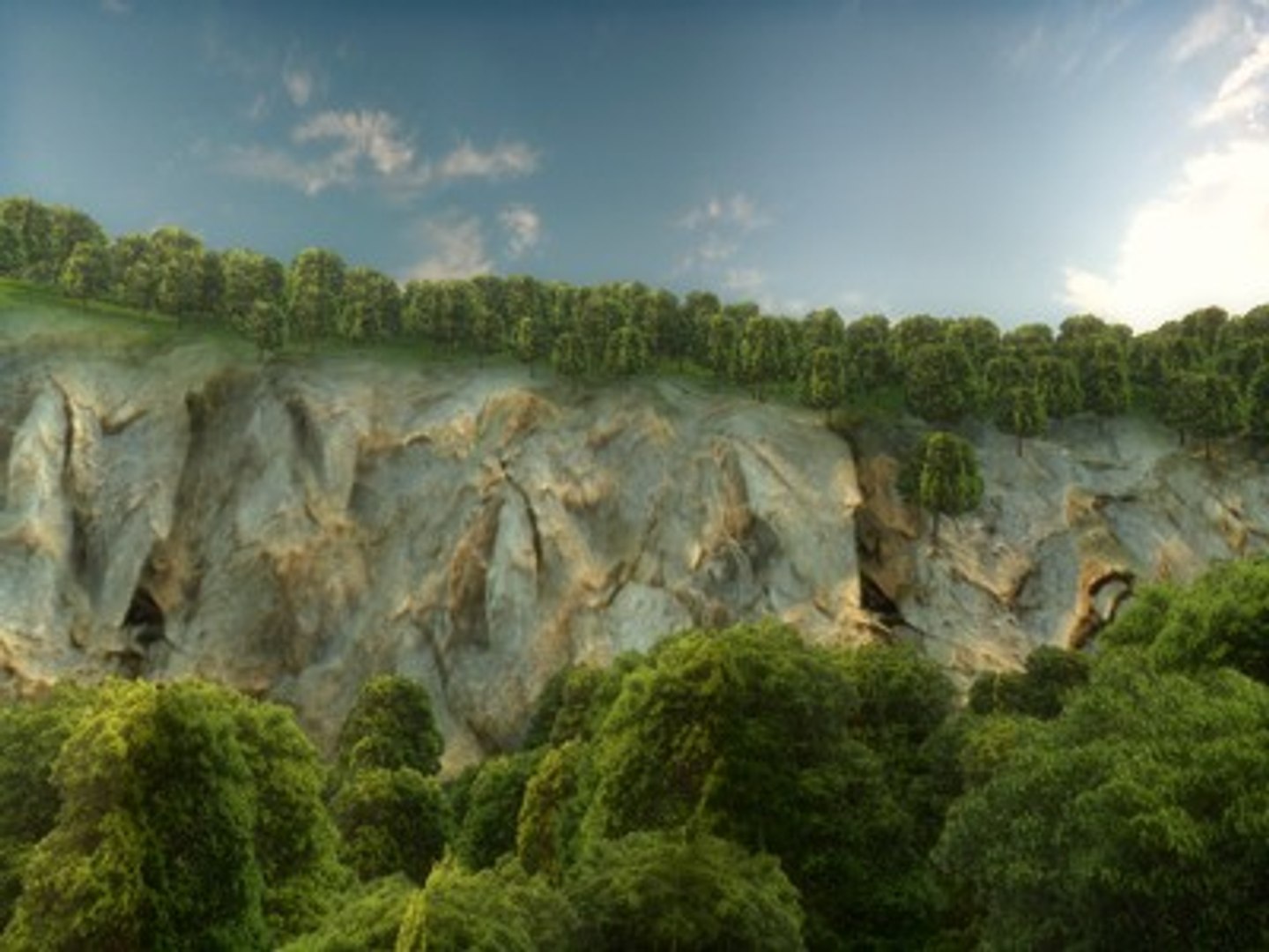 C4d Landscape Forest