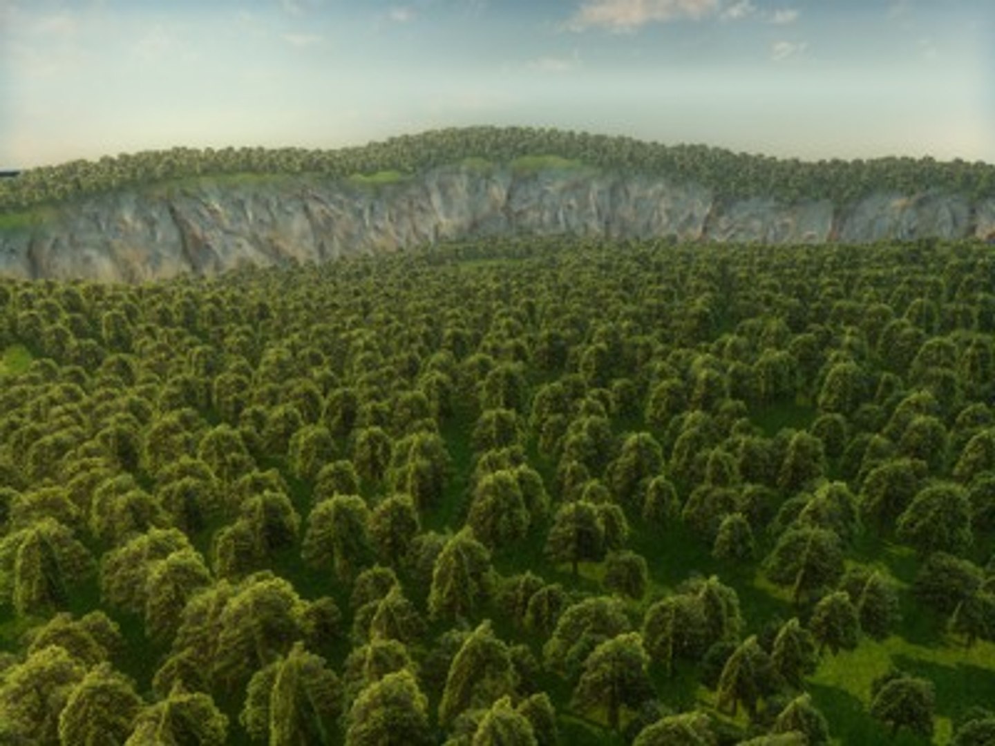 C4d Landscape Forest