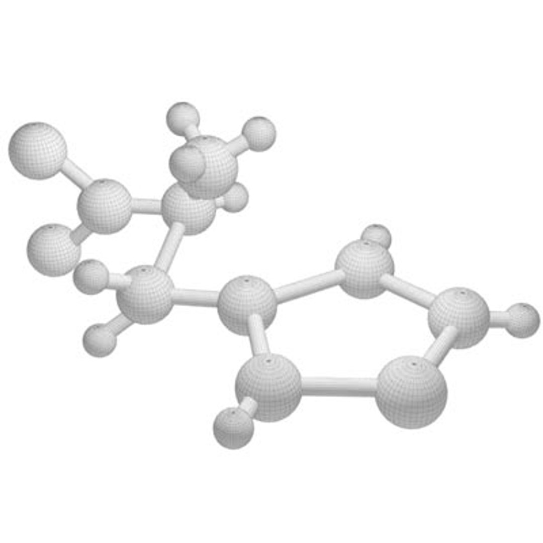 Histidine Molecule Structure 3d 3ds