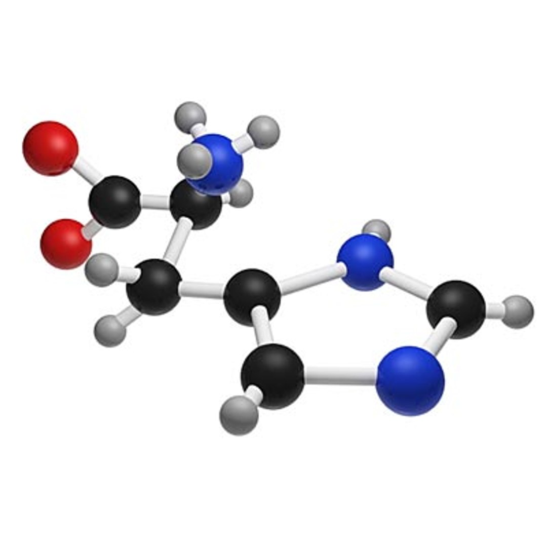 Histidine Molecule Structure 3d 3ds