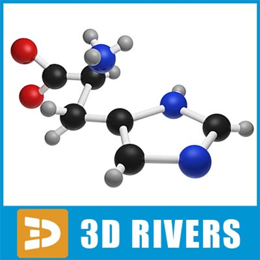 Histidine Molecule Structure 3d 3ds