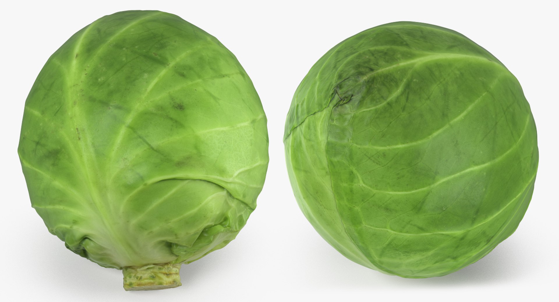 Cabbage Realistic 3D Model - TurboSquid 1165820