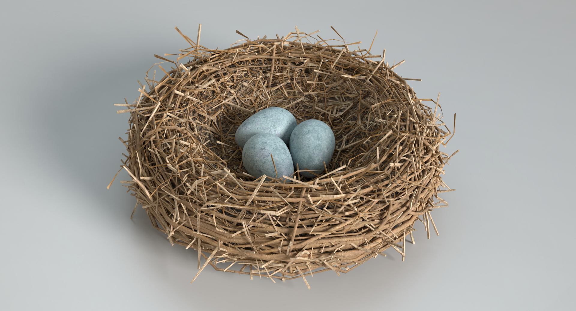 3d Max Birds Nest