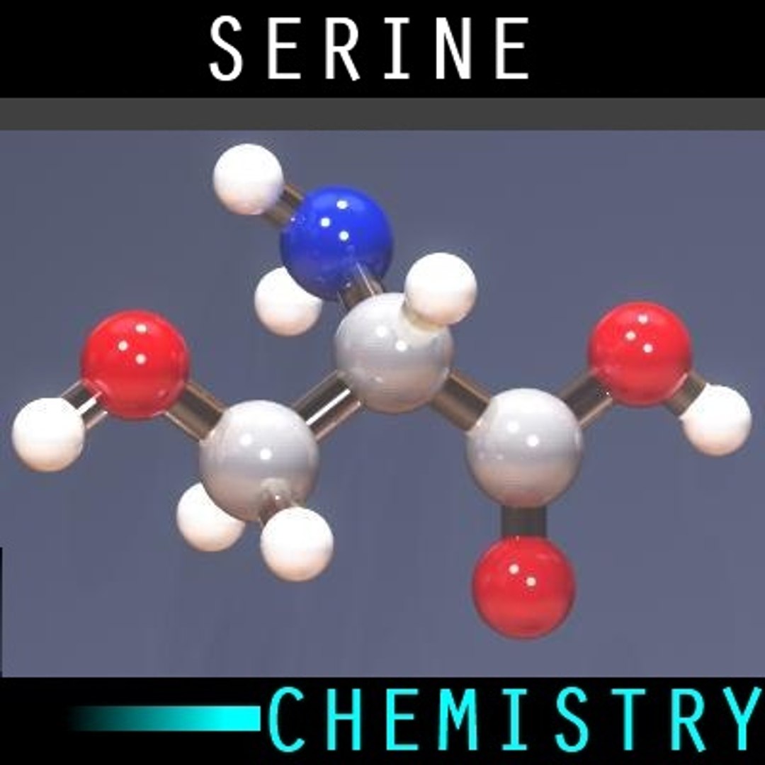 Molecule Serine 3d Model