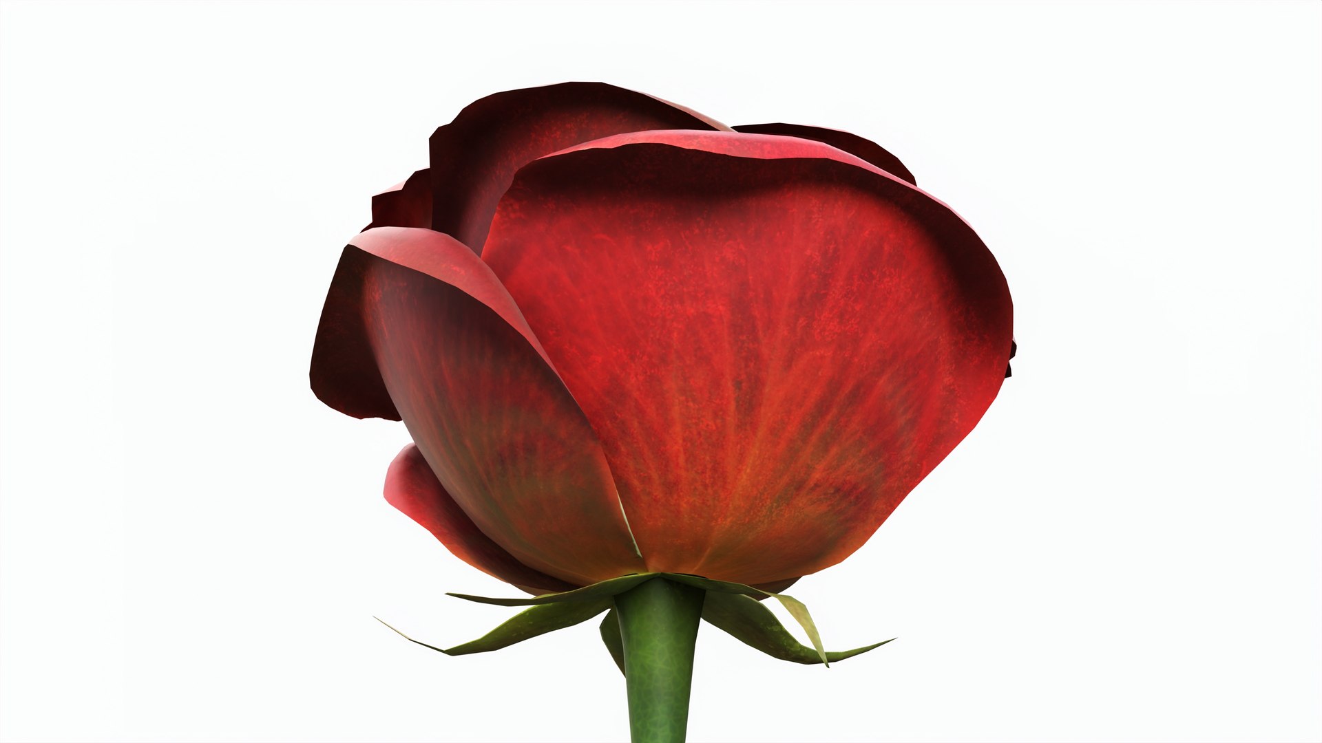 3D Single Beautiful Red Rose - TurboSquid 2238034