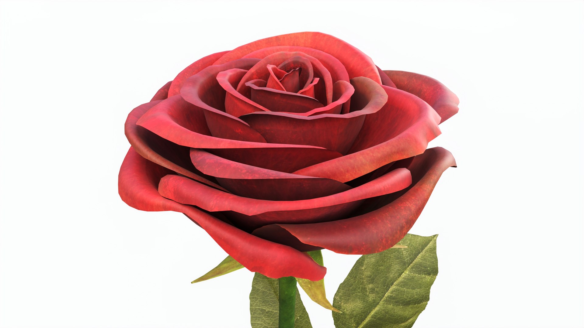 3D Single Beautiful Red Rose - TurboSquid 2238034