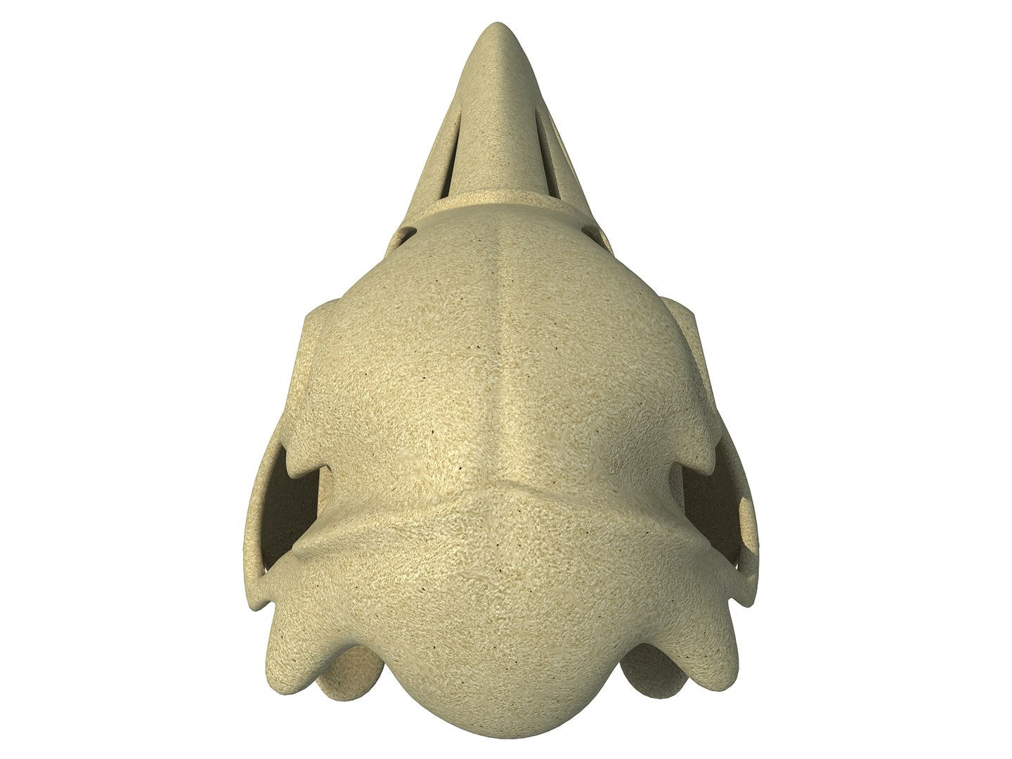 3D Model Penguin Skull Skeleton - TurboSquid 1170025