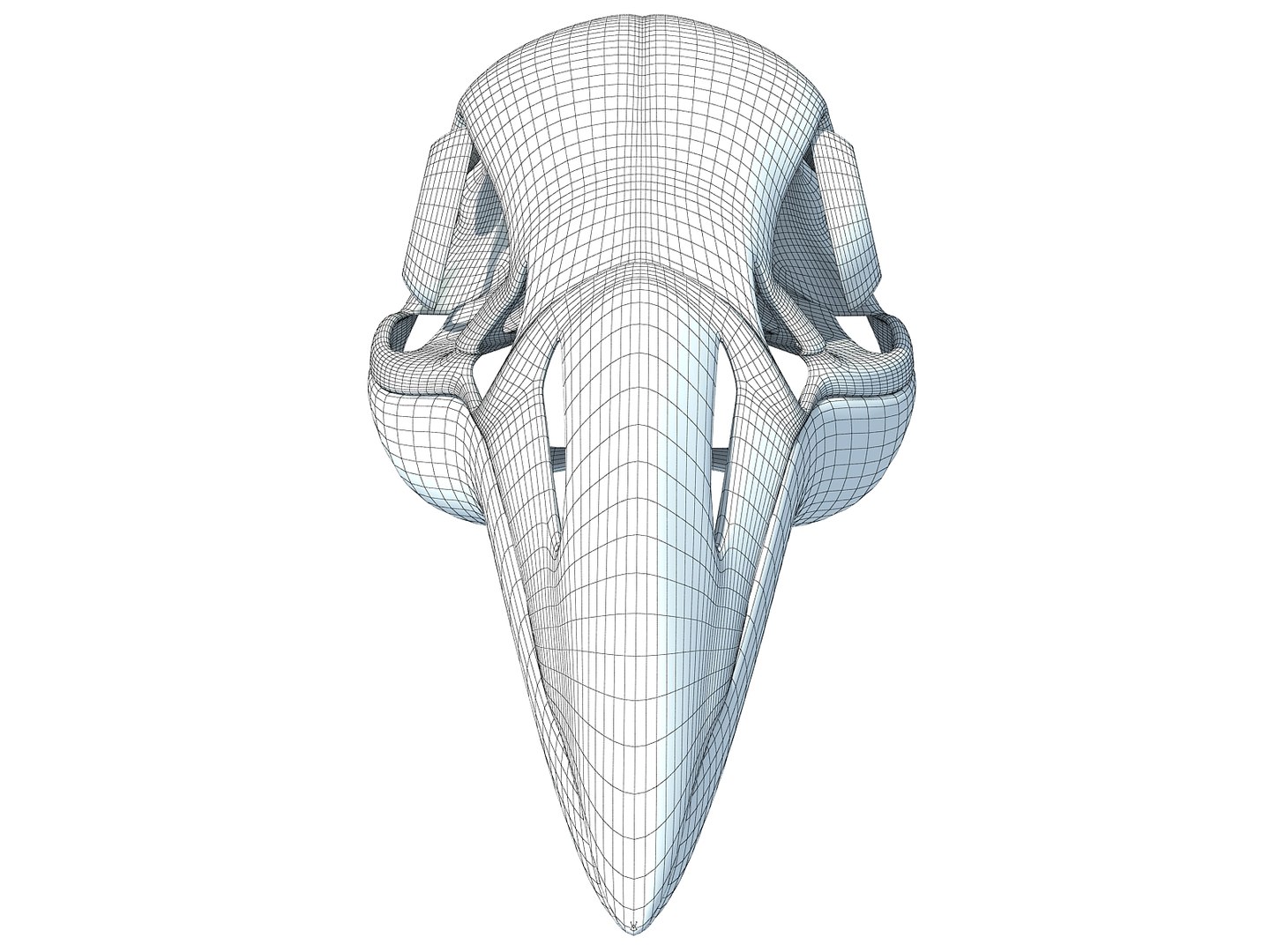 3D Model Penguin Skull Skeleton - TurboSquid 1170025