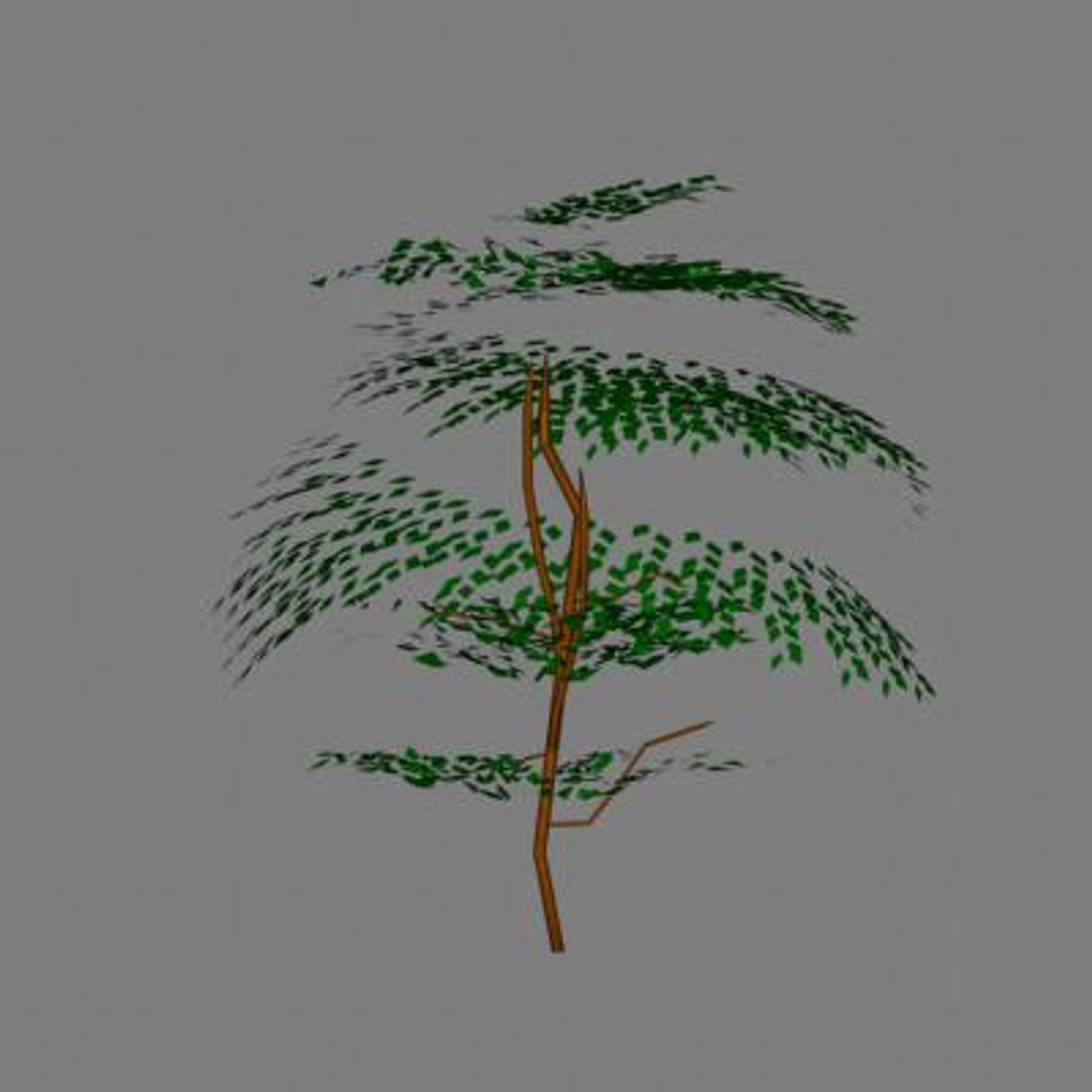 Tree 3d Model