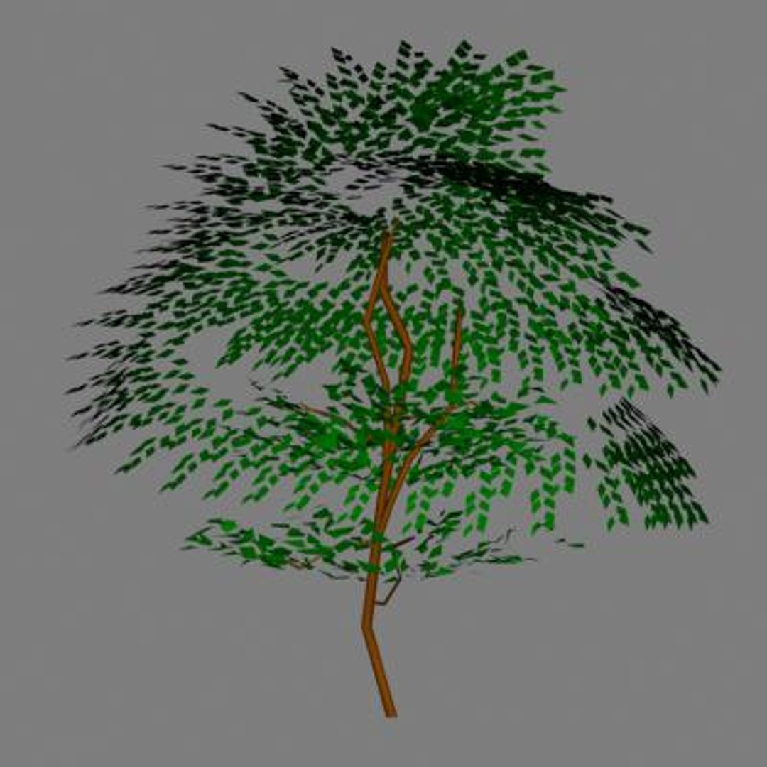 Tree 3d Model