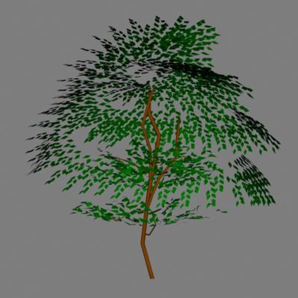 tree 3d model