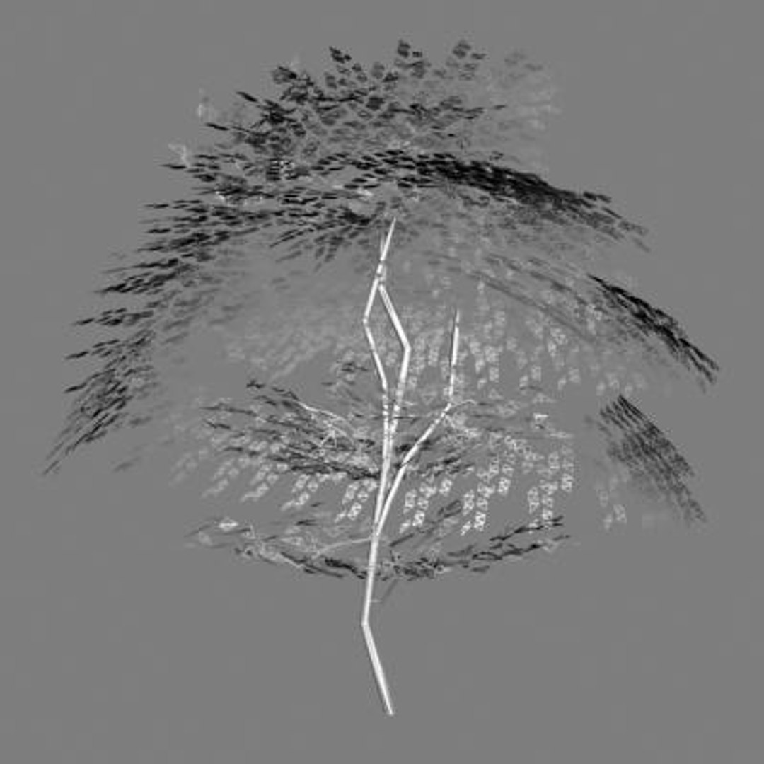 Tree 3d Model
