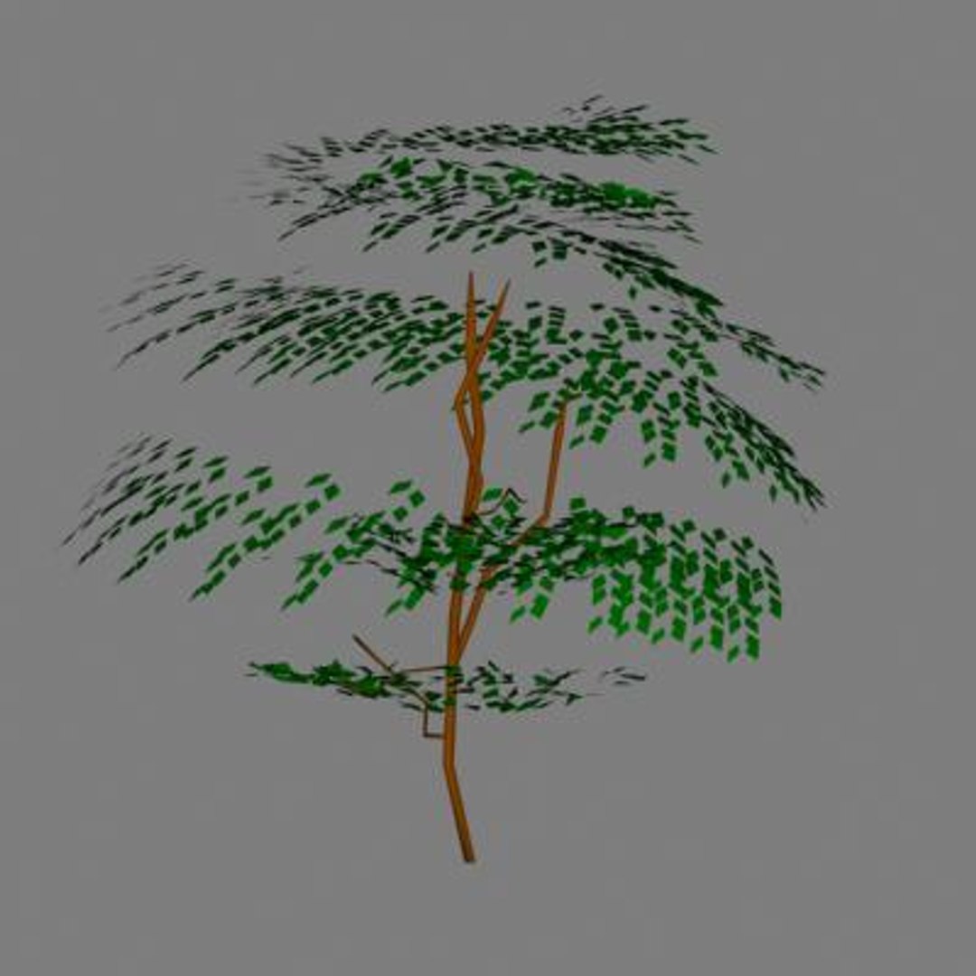 Tree 3d Model