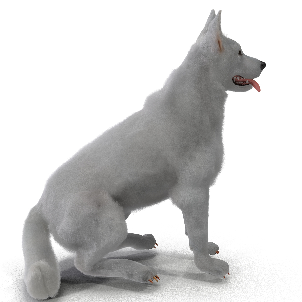 3d model of white shepherd dog pose