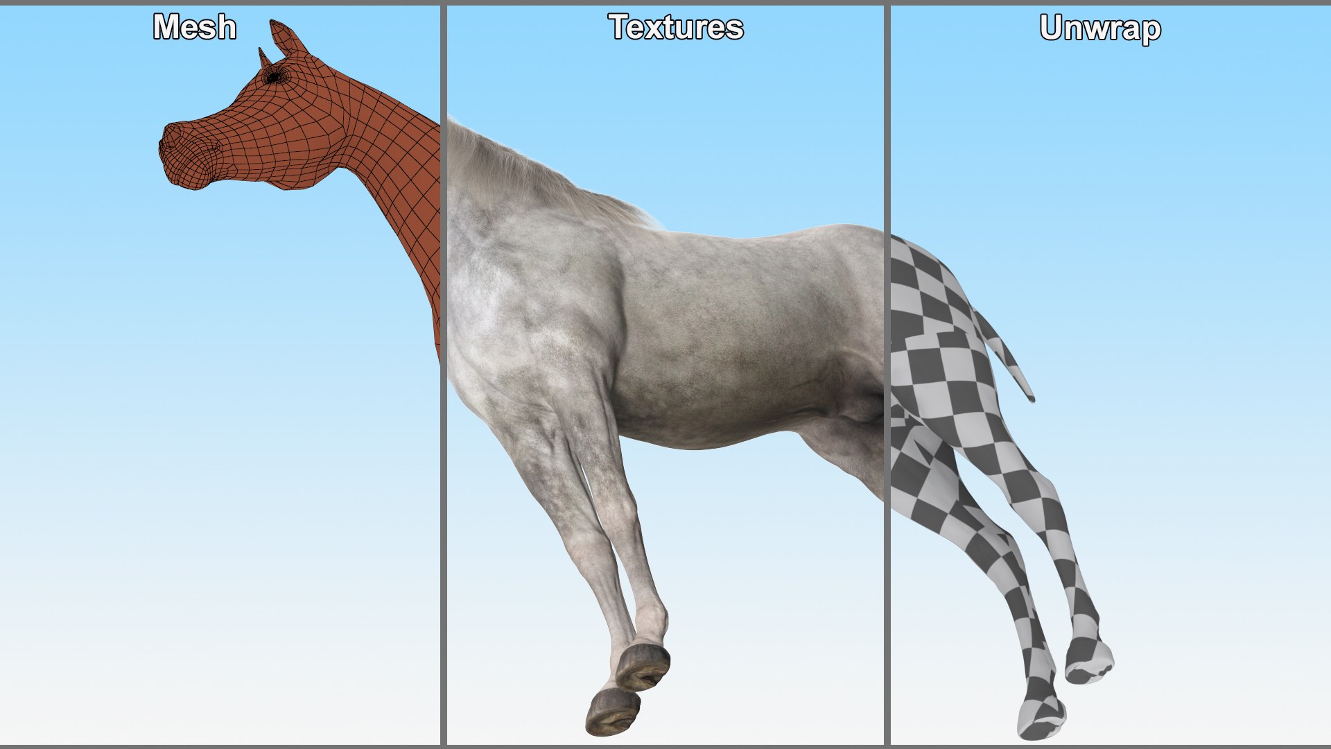 3D Arabian Horse Gray Dappled Fur Rigged - TurboSquid 2184017
